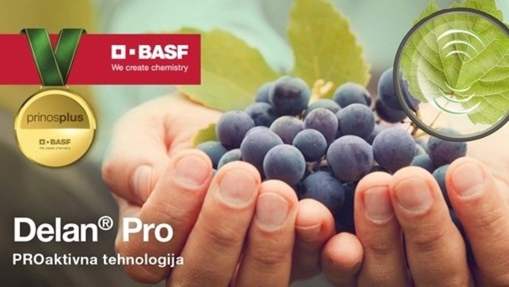 Delan® Pro fungicid | BASF Hrvatska