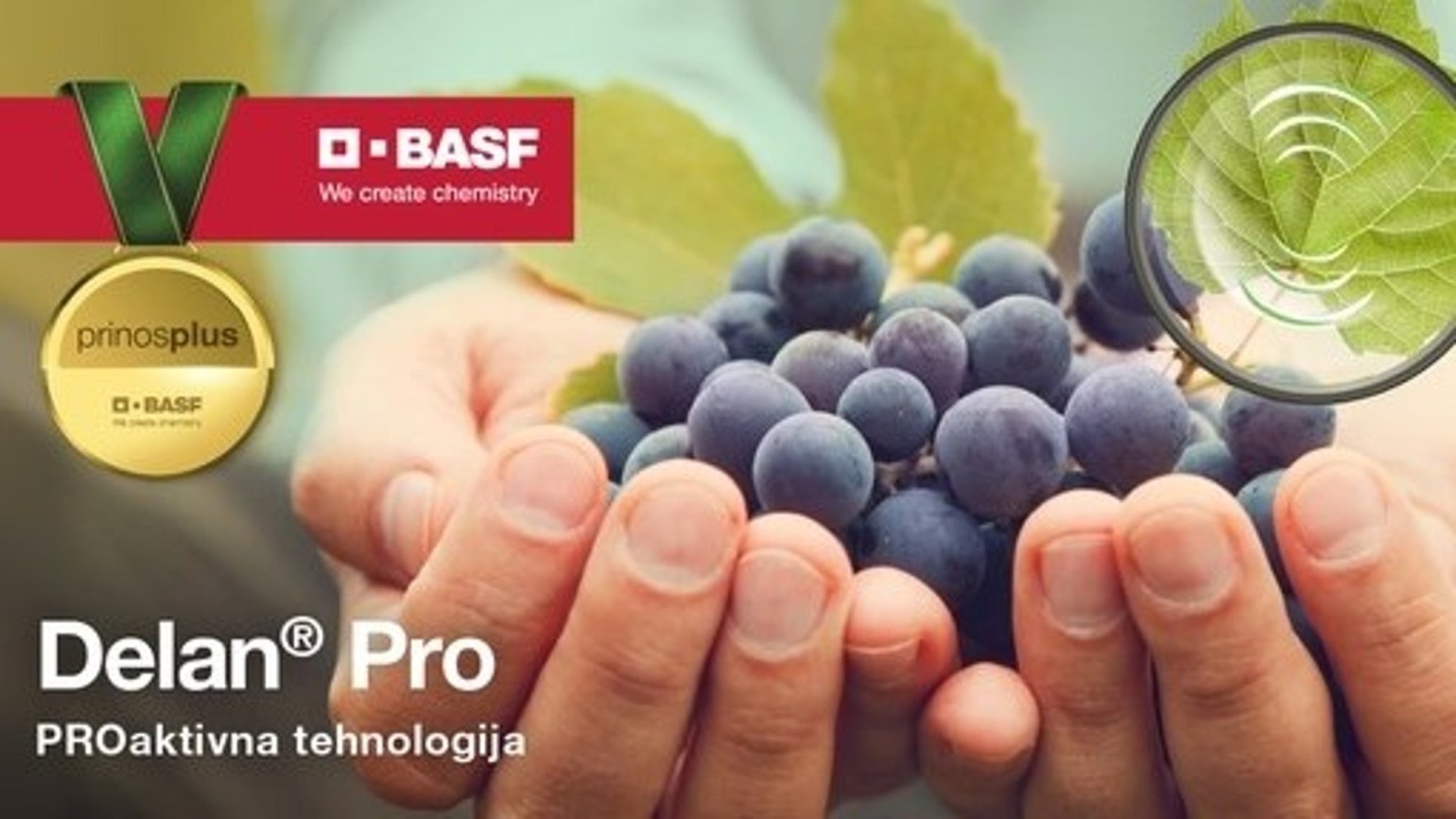 Delan® Pro fungicid | BASF Hrvatska