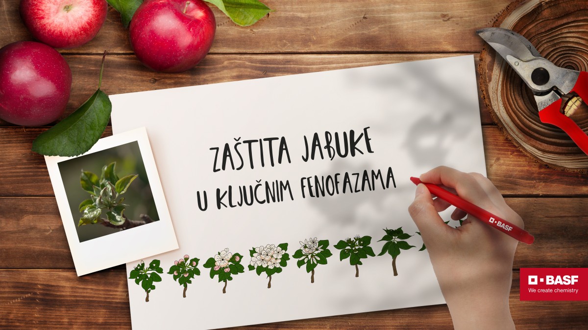 zaštita jabuke