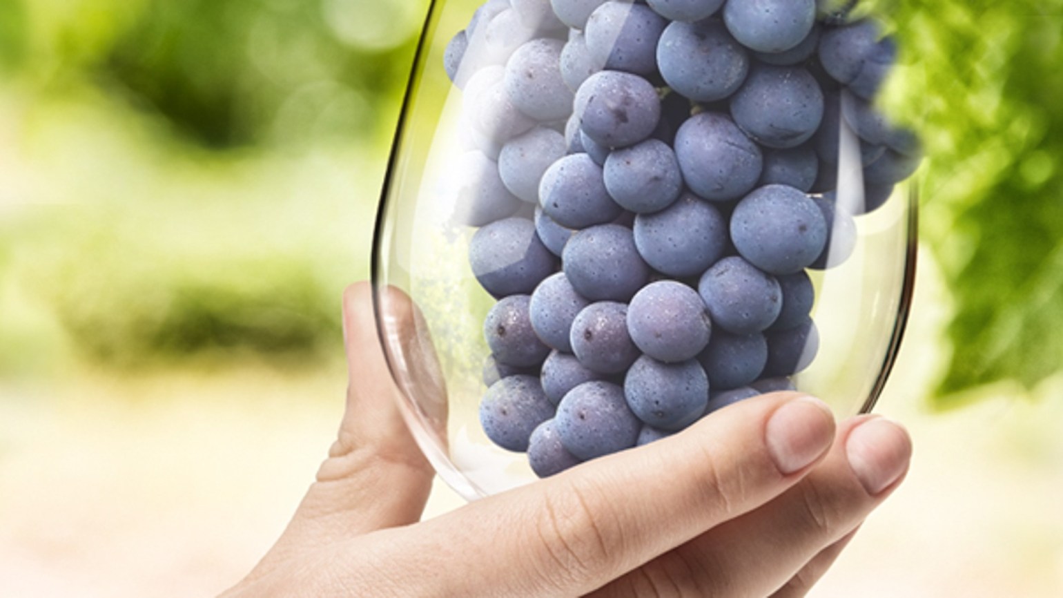 Kumulus® DF / Chromosul®1 80 - Home